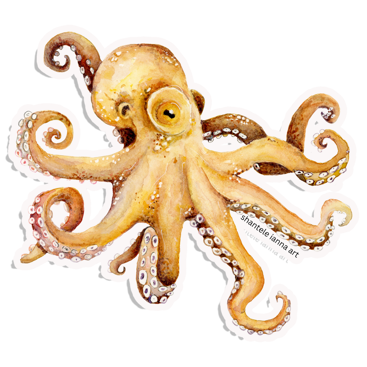 Watercolor Octopus vinyl Sticker – Shantele Ianna Art